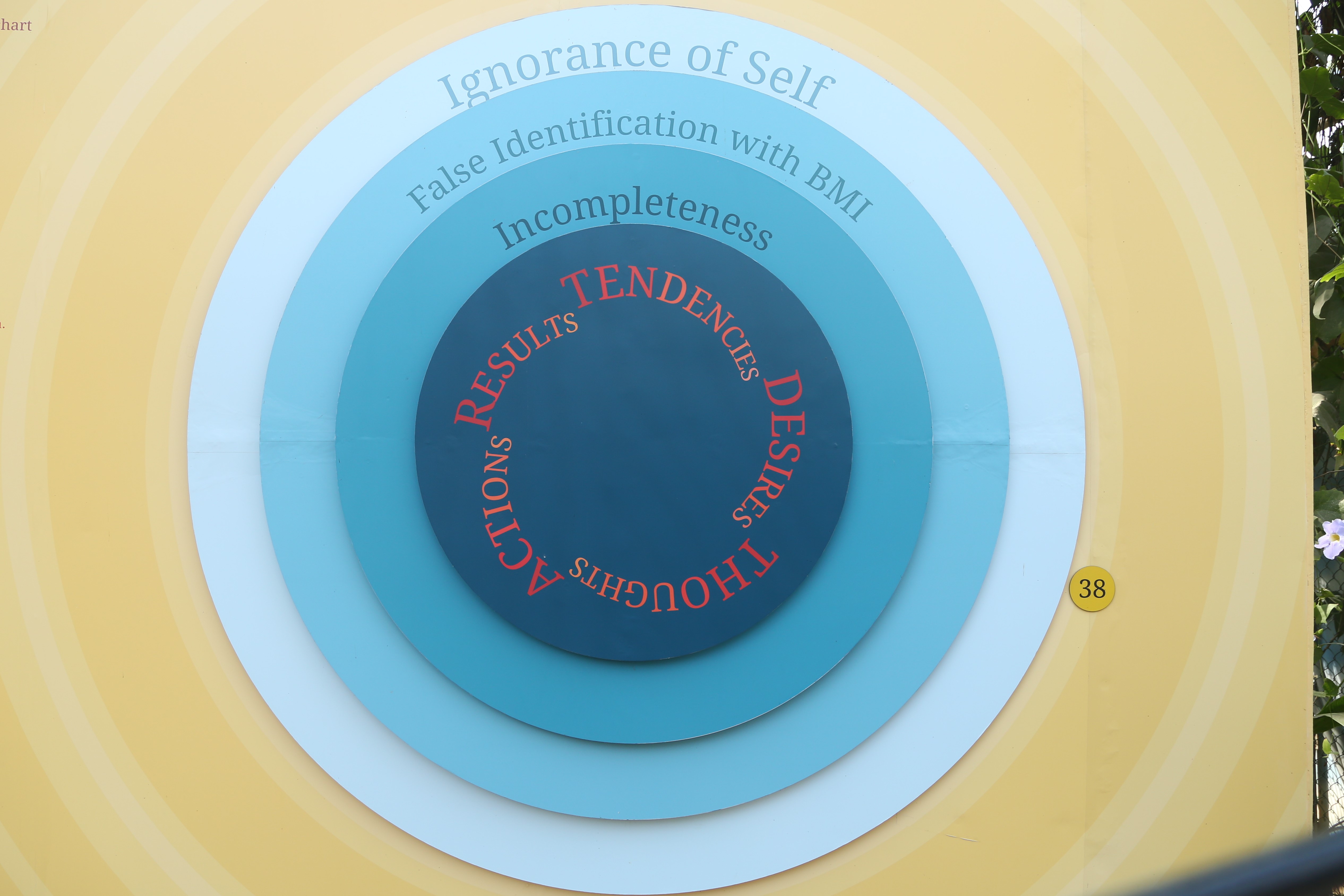 Ignorance Cycle | Chinmaya Mission Mumbai